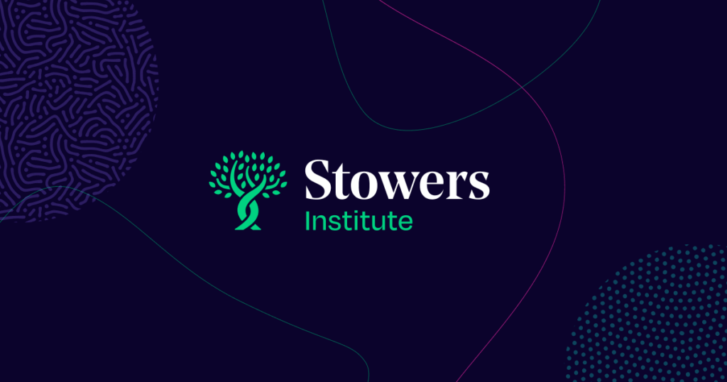 Stowers Summer Scholars Program » Mongo Scholar