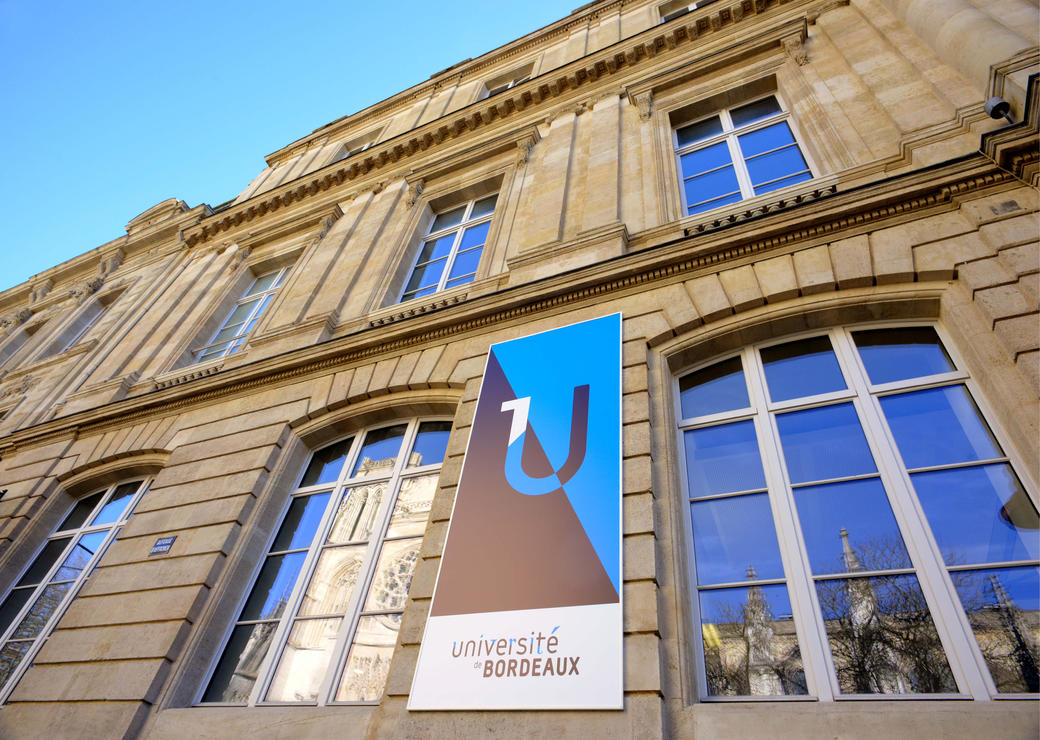 University of Bordeaux PhD Scholarships » Mongo Scholar